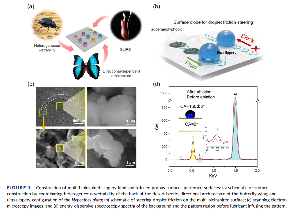Bionic surface diode for droplet steering